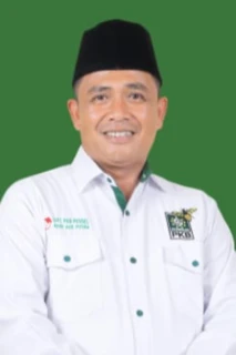 Profil RONI ADE PUTRA - Info Pemilu
