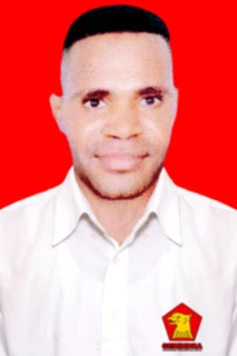 Profil ALPRET AKMER, S.SOS - Info Pemilu