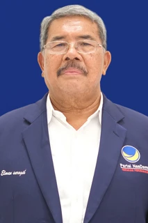 Profil ELMAN SARAGIH - Info Pemilu